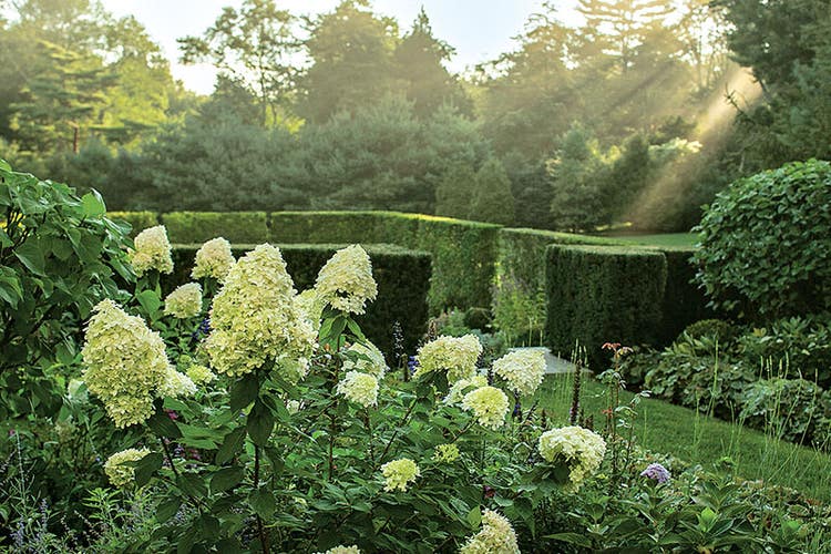 Award-Winning Garden Design From Doyle Herman Design Associates